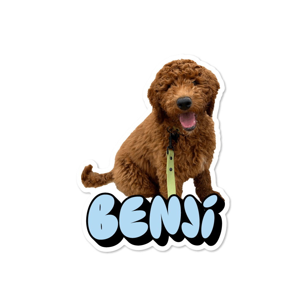 Personalised Pet Name Sticker – WHOSA